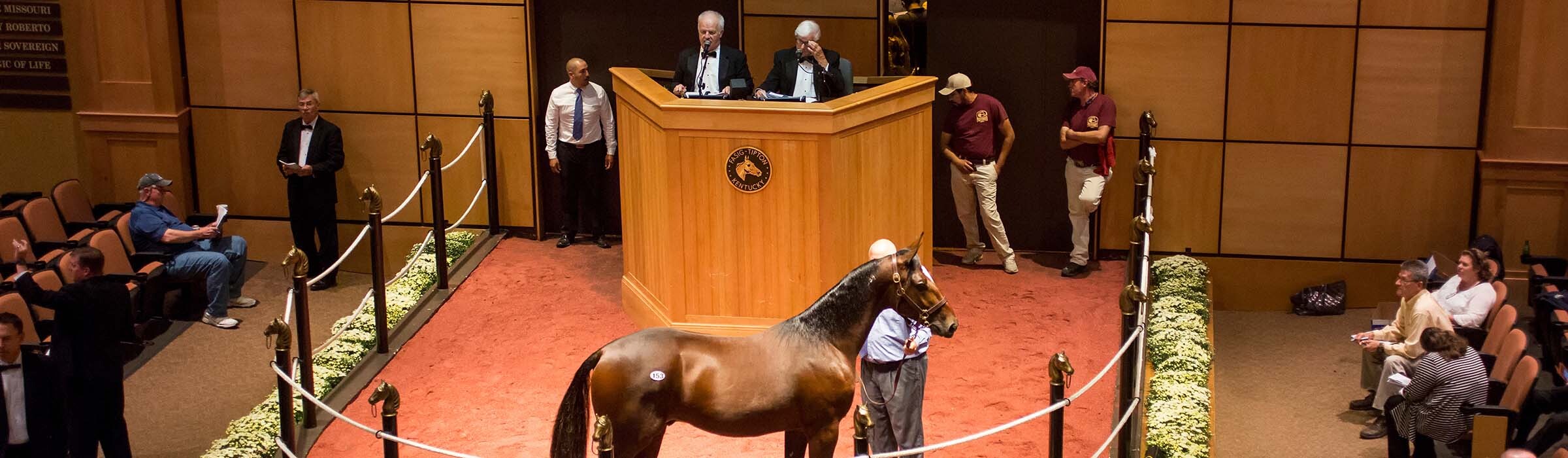 Preferred Equine Online, LLC