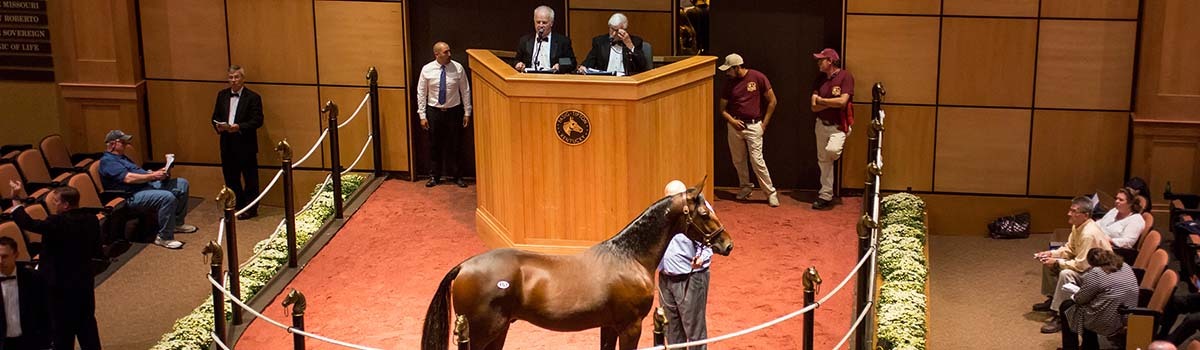 Preferred Equine Online, LLC